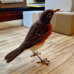 Needle Felted American Robin - Made to Order - Etsy
