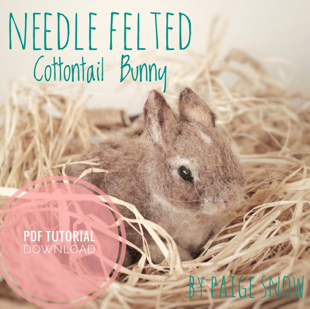 Needle Felt Cottontail Bunny Tutorial: Intermediate Step-by-step Guide ...