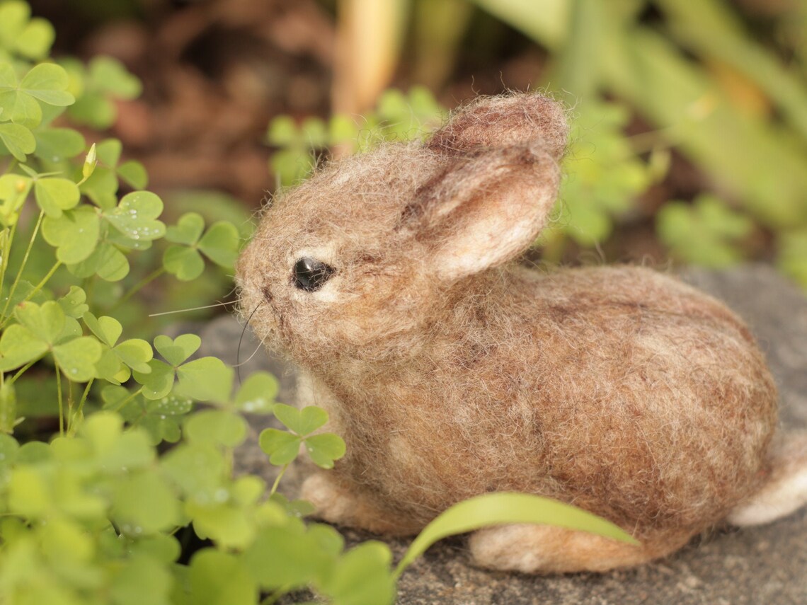 Needle Felted Baby Cottontail Rabbit - Etsy