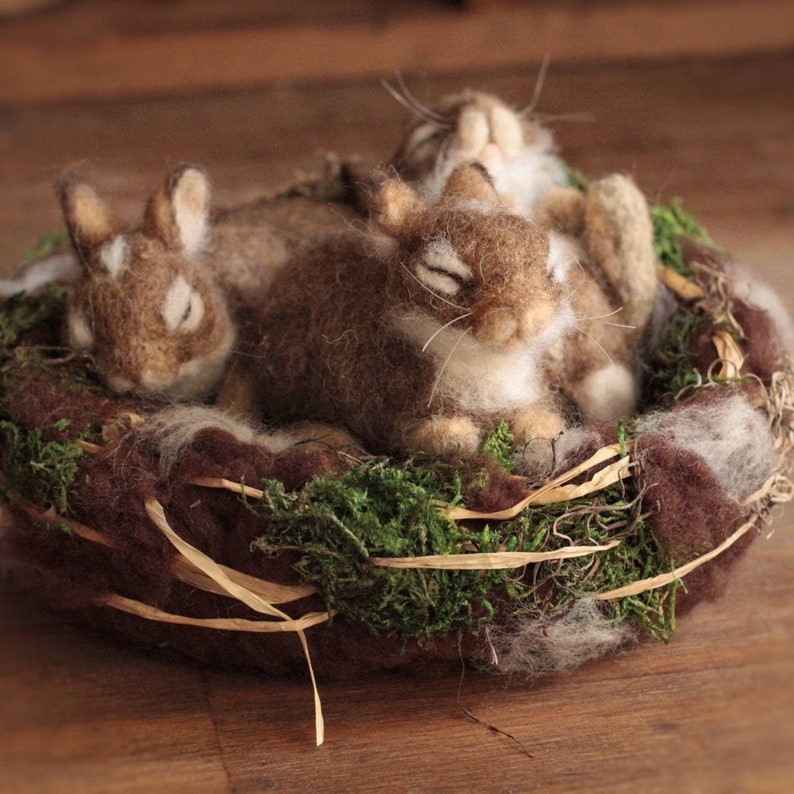 Needle Felted Eastern Cottontail Rabbit Nest - Made to Order - Etsy