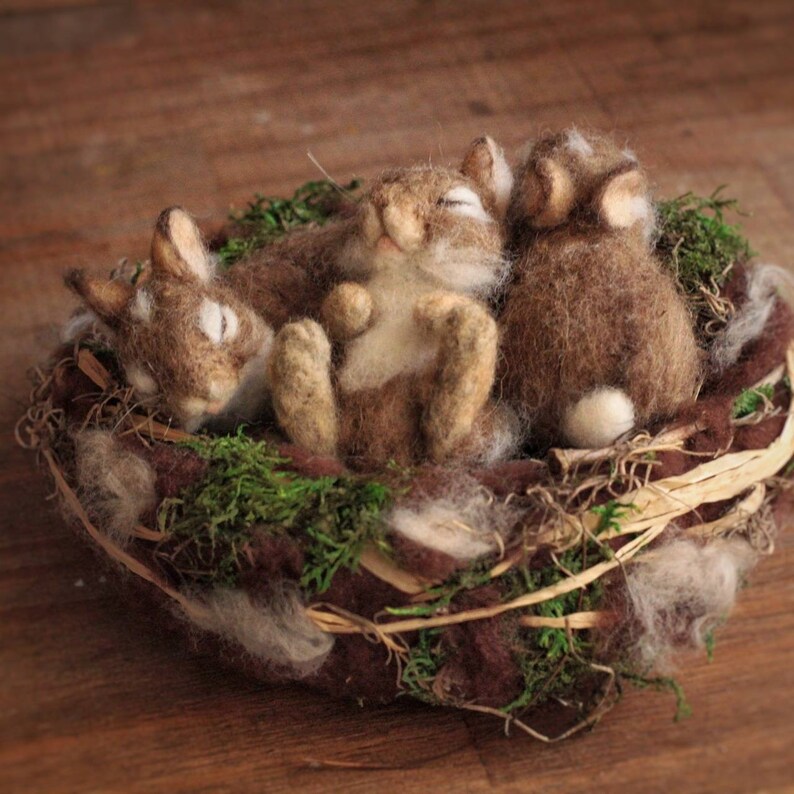 Needle Felted Eastern Cottontail Rabbit Nest - Made to Order - Etsy