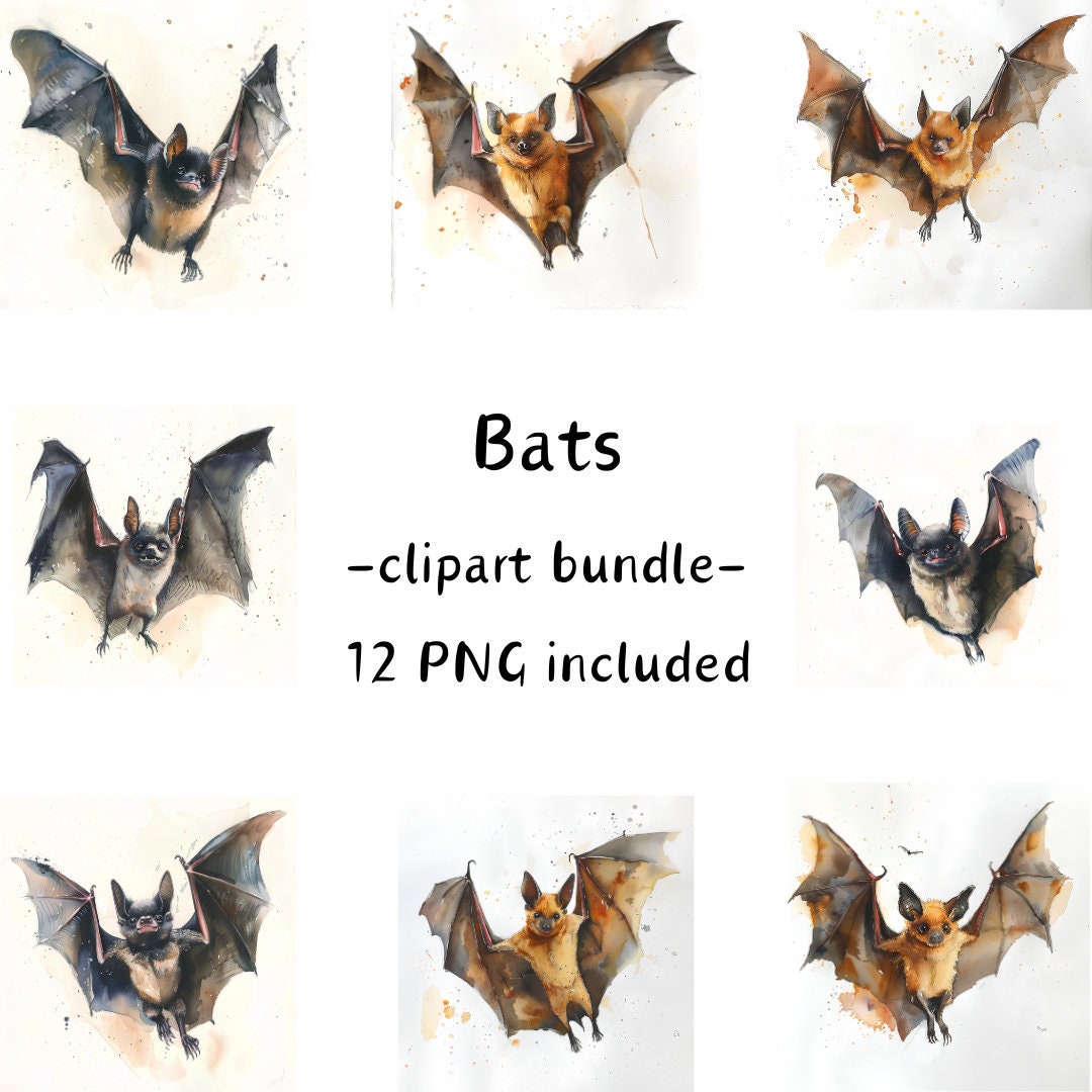12 Watercolour Bats, Watercolour Clipart Bundle, PNG, Cute Bats, High ...