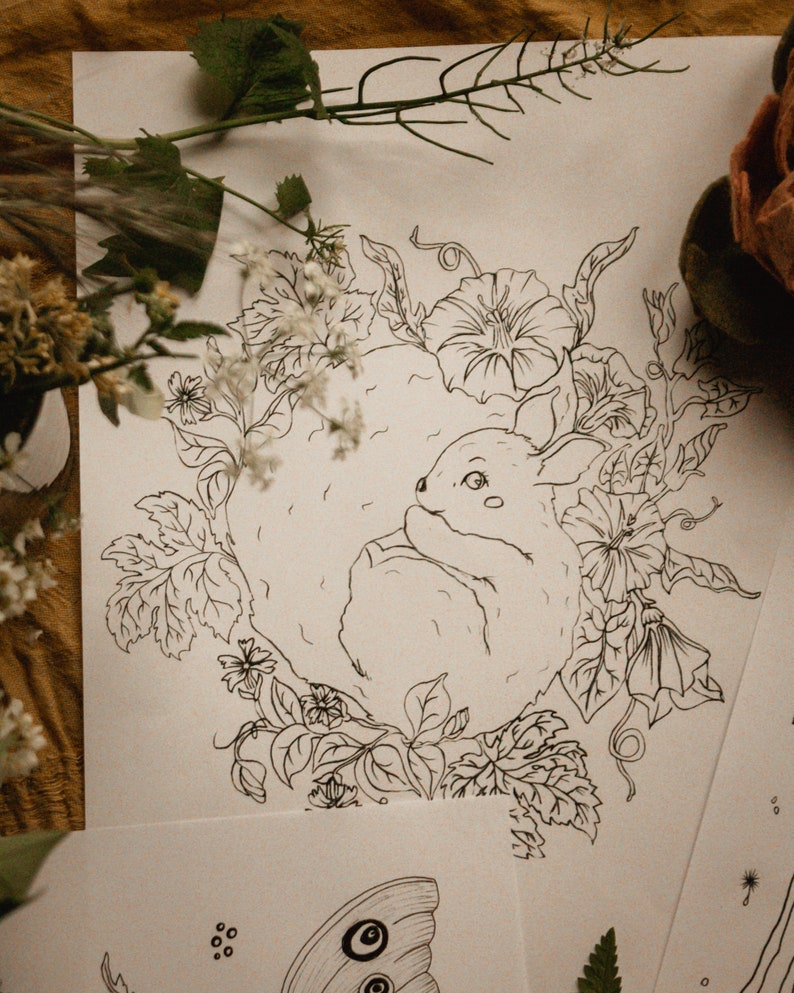 Printable coloring pages set 4 printable coloring sheets pdf | Etsy