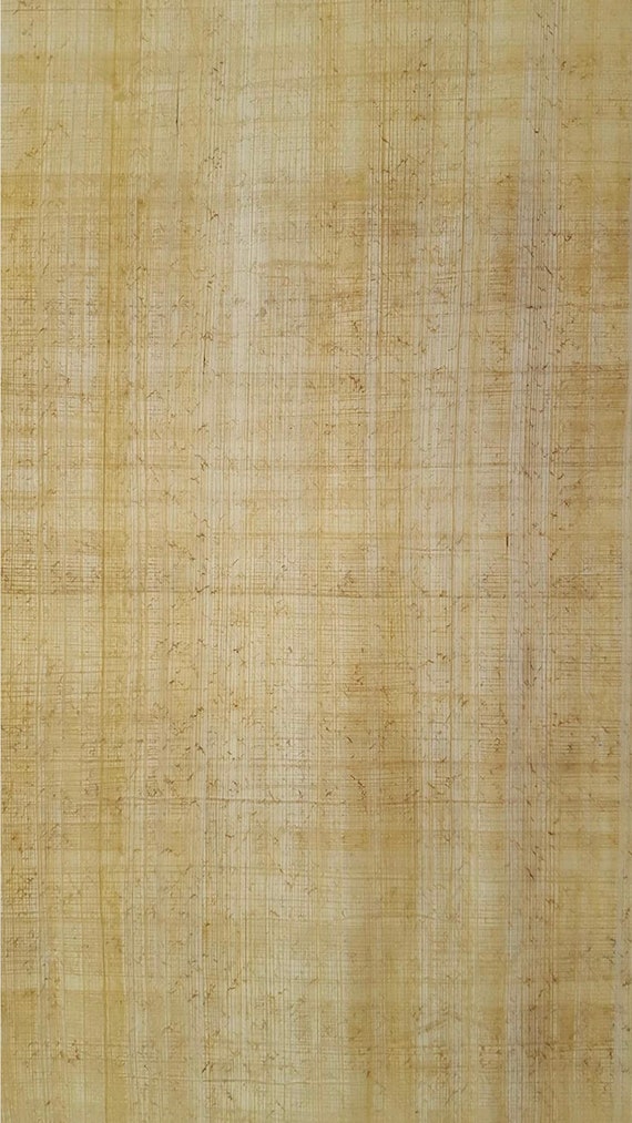 Papyrus Paper Texture