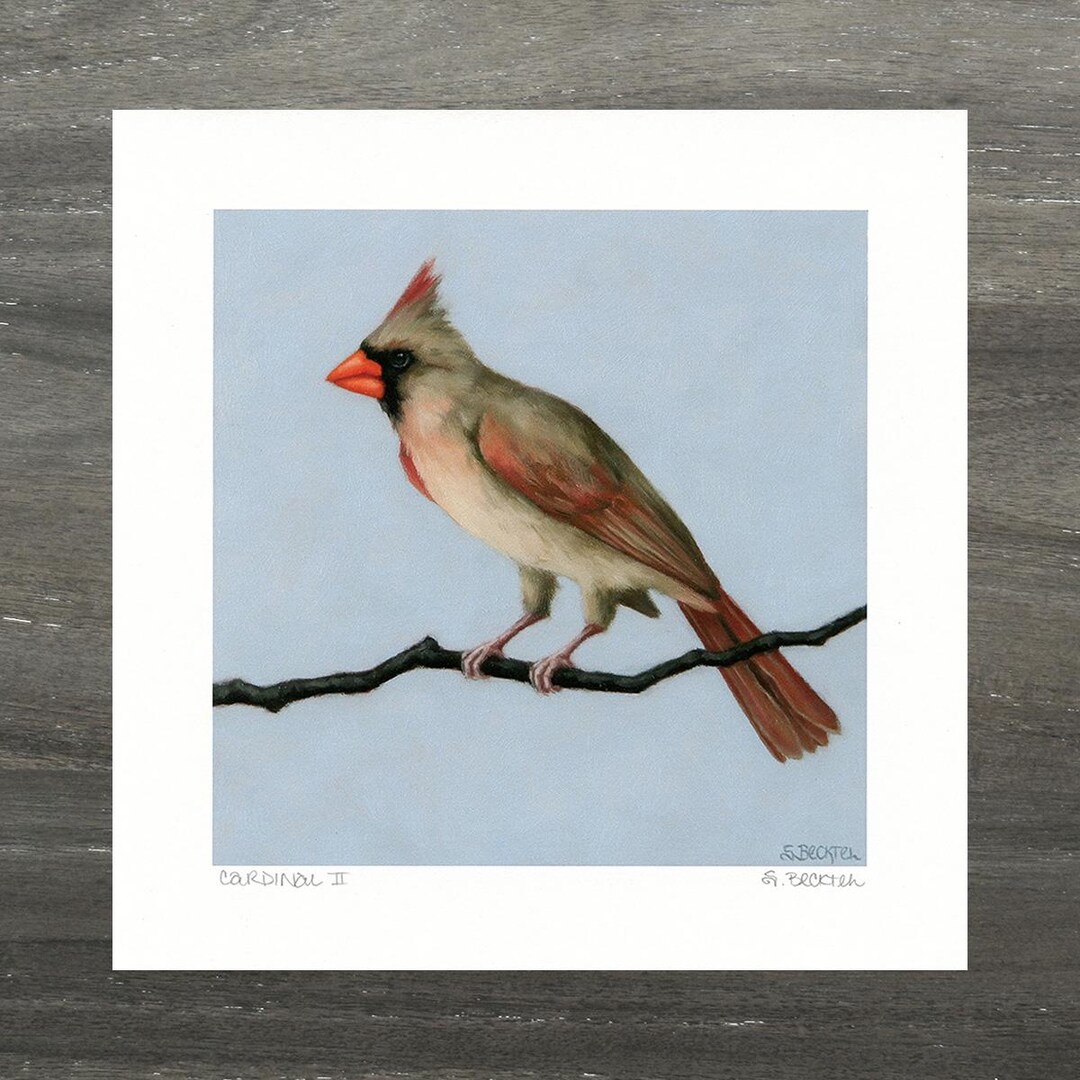 Female Cardinal Art Print With Original Cardinal Artwork by Sarah ...
