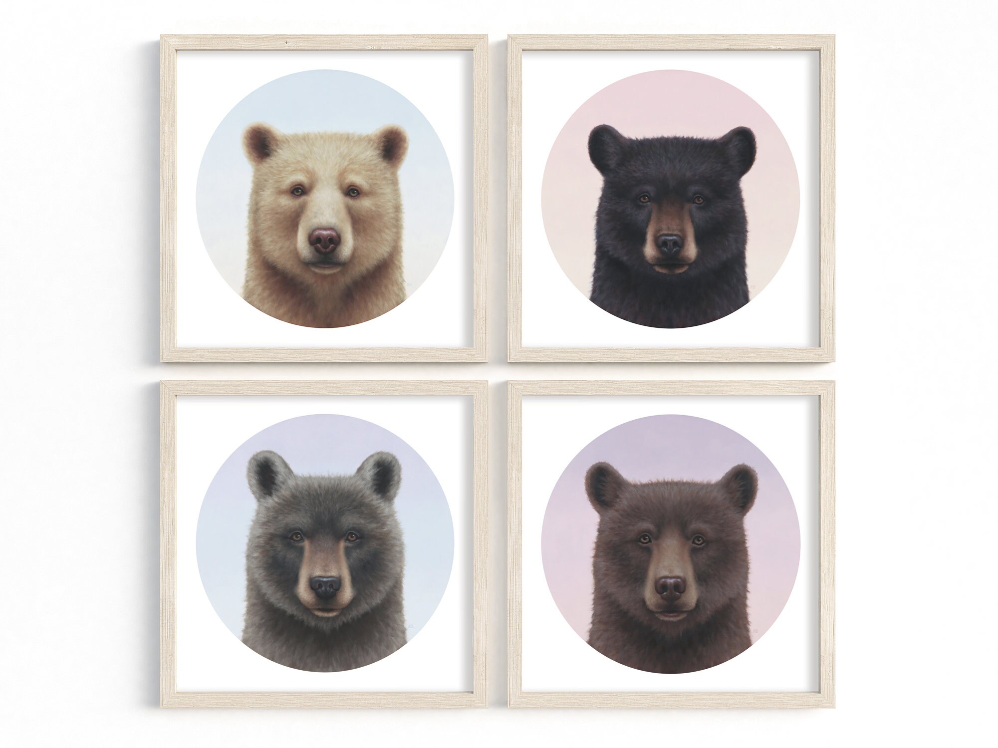 Spirit Bear Art Print With Original Artwork by Sarah Becktel. Kermode ...