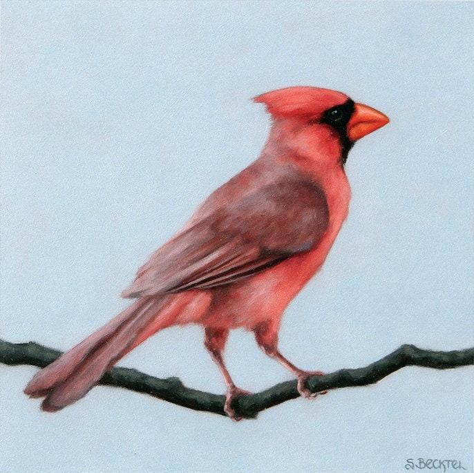Cardinal Art Print Original Art by Sarah Becktel. Cardinal Artwork ...