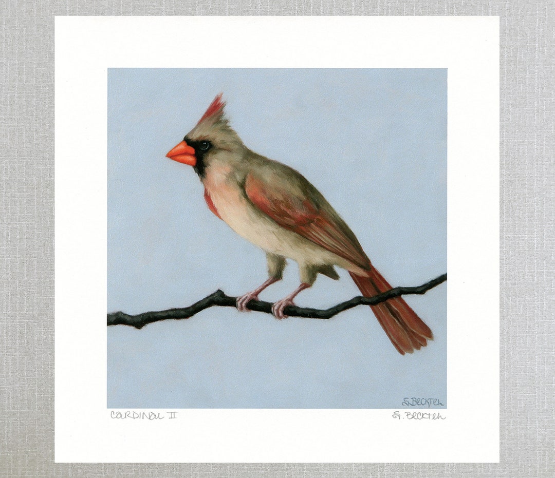 Female Cardinal Art Print With Original Cardinal Artwork by Sarah ...