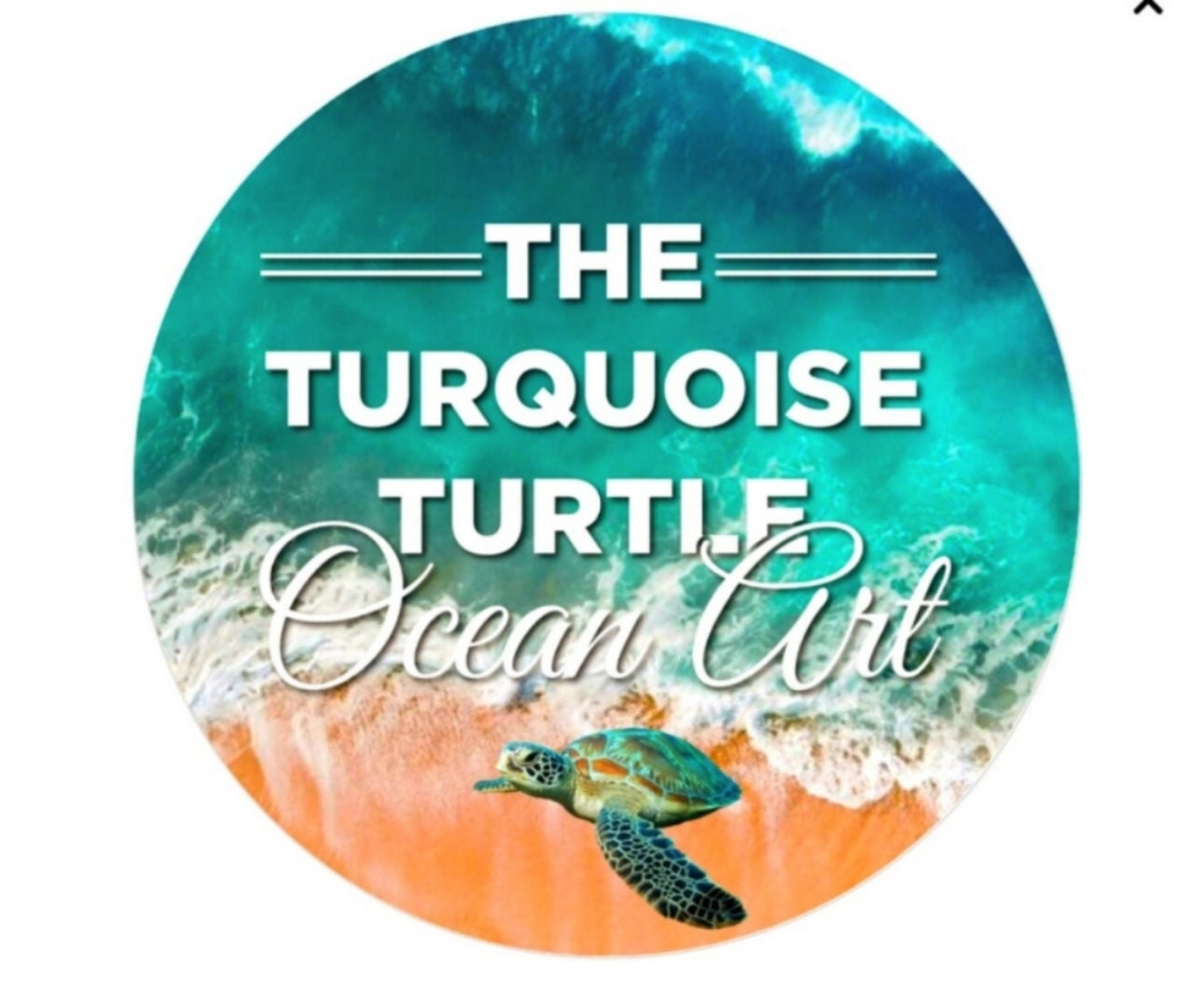 Large Sea Turtle Beach Art With Resin, Shells, Glass, Coral and ...