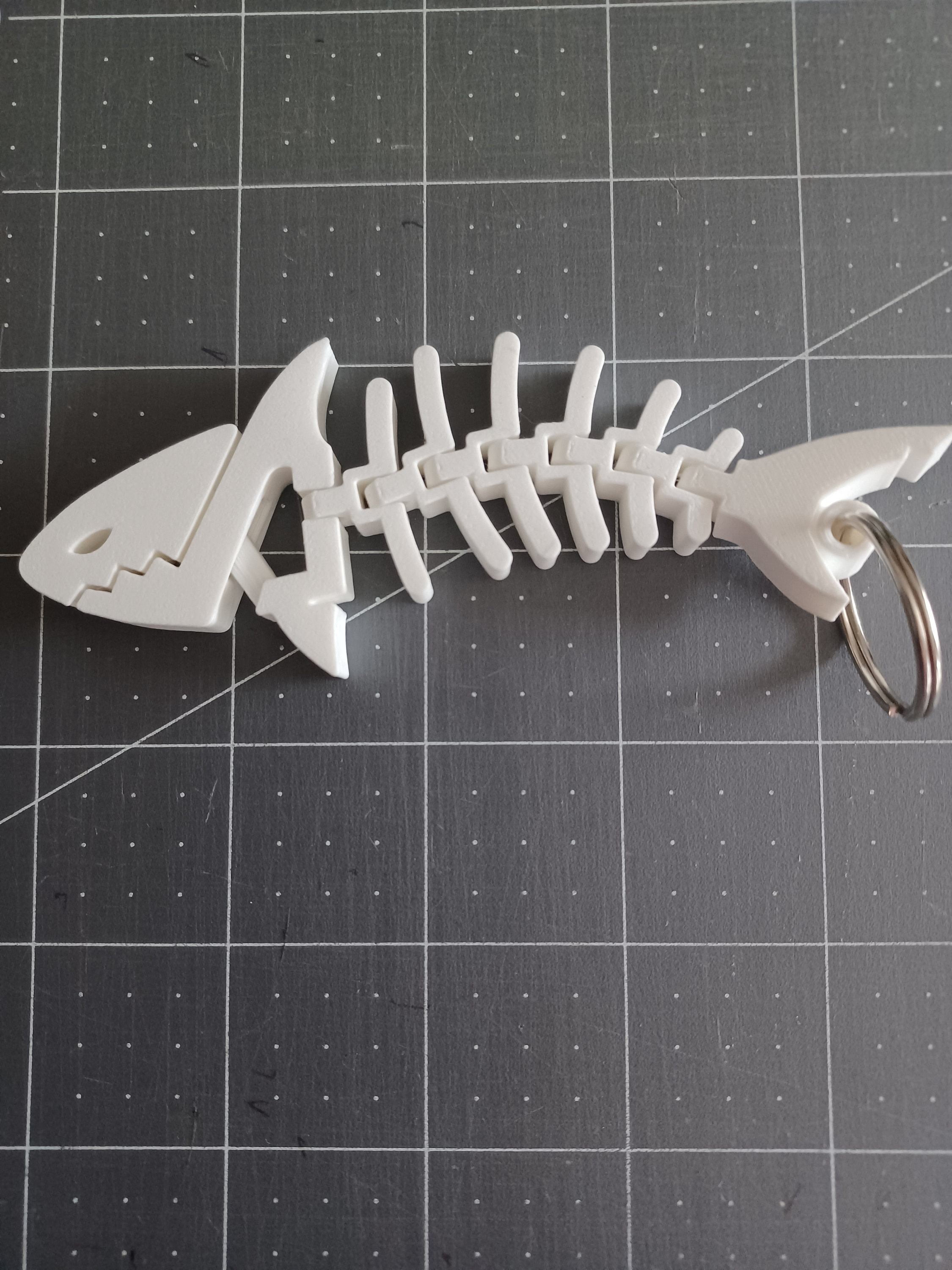Flexible Shark Keychain Ready to Ship, FREE Standard US Shipping - Etsy