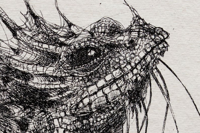 Monster Frog Etching, Handmade Original Black & White Art Print frog ...