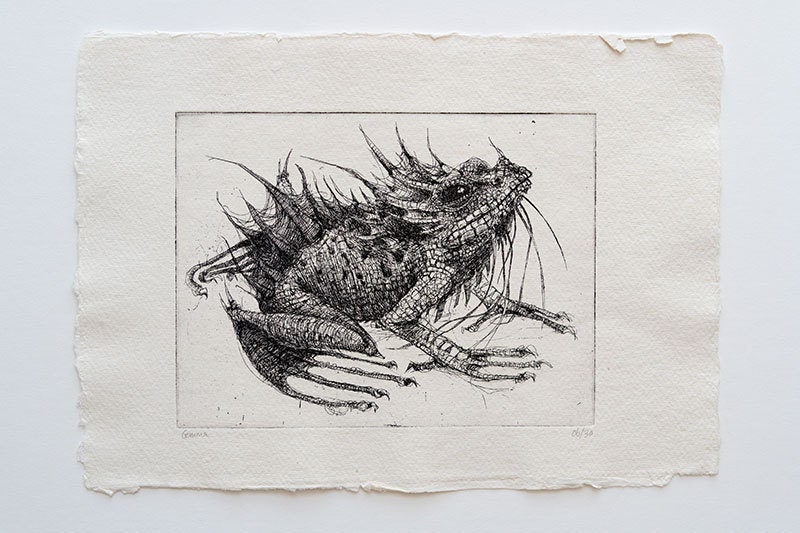 Monster Frog Etching, Handmade Original Black & White Art Print frog ...