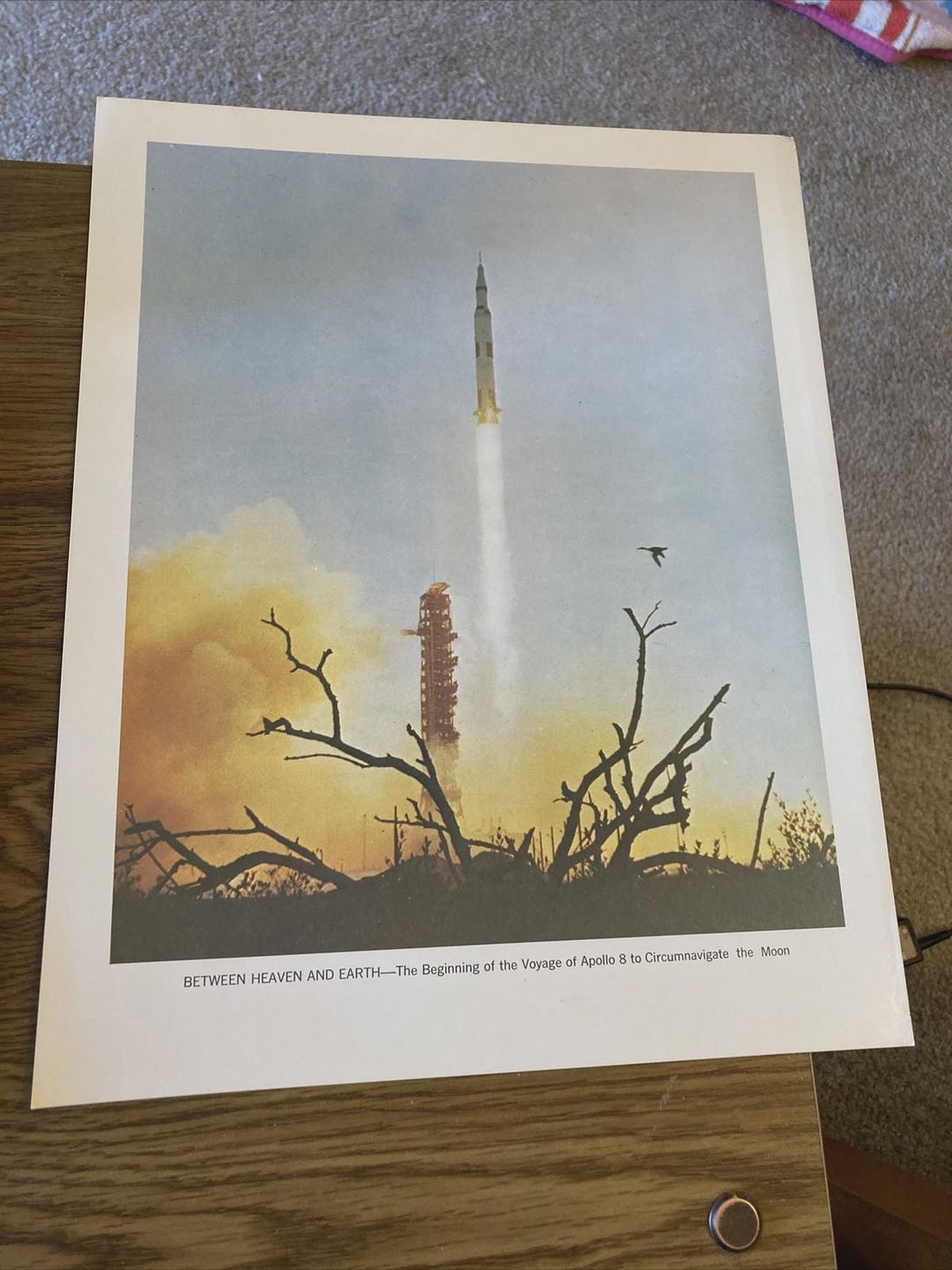 1968 NASA Apollo Photo Print Between Heaven and Earth, the Beginning of ...