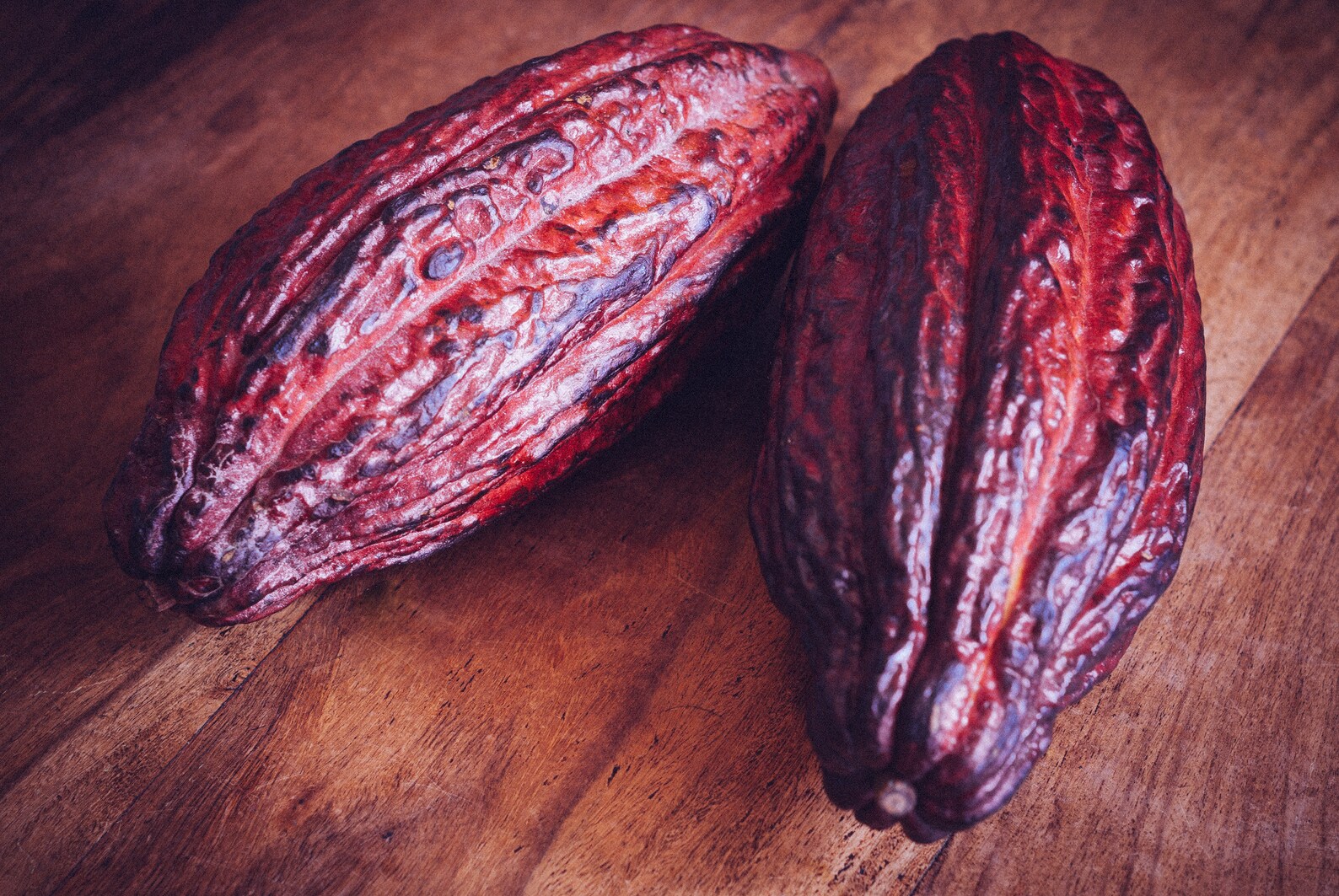 Craft Chocolate Single Origin Papua New Guinea Vegan Dairy | Etsy