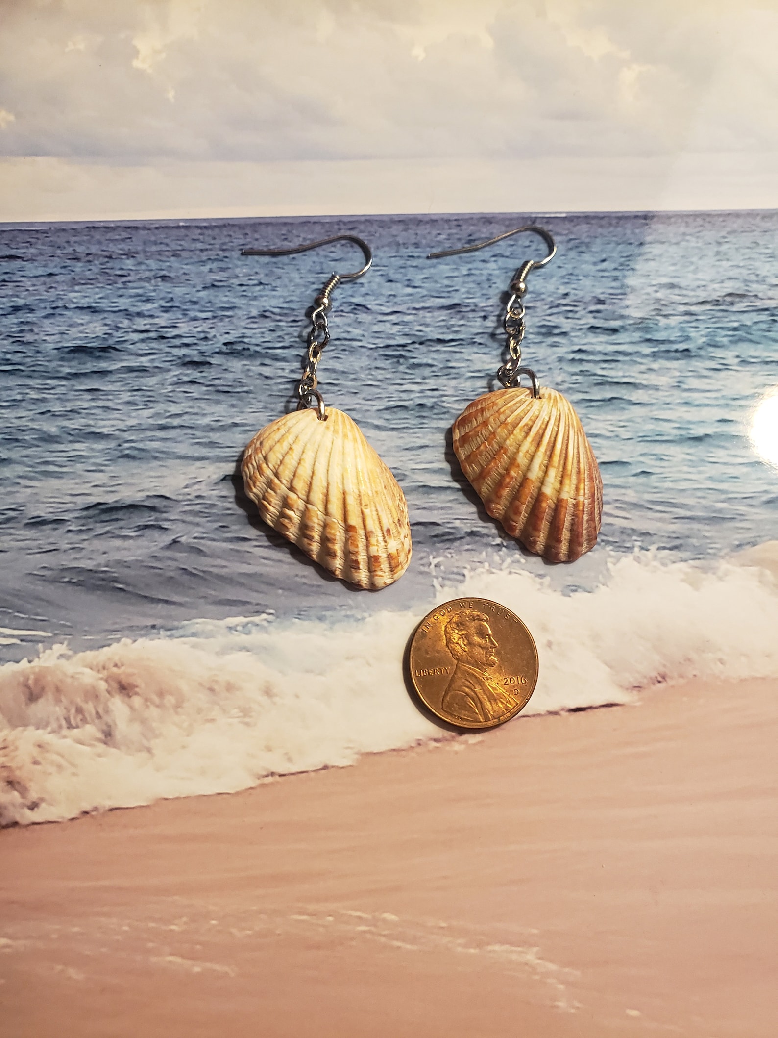 SEA SHELL EARRINGS - Etsy