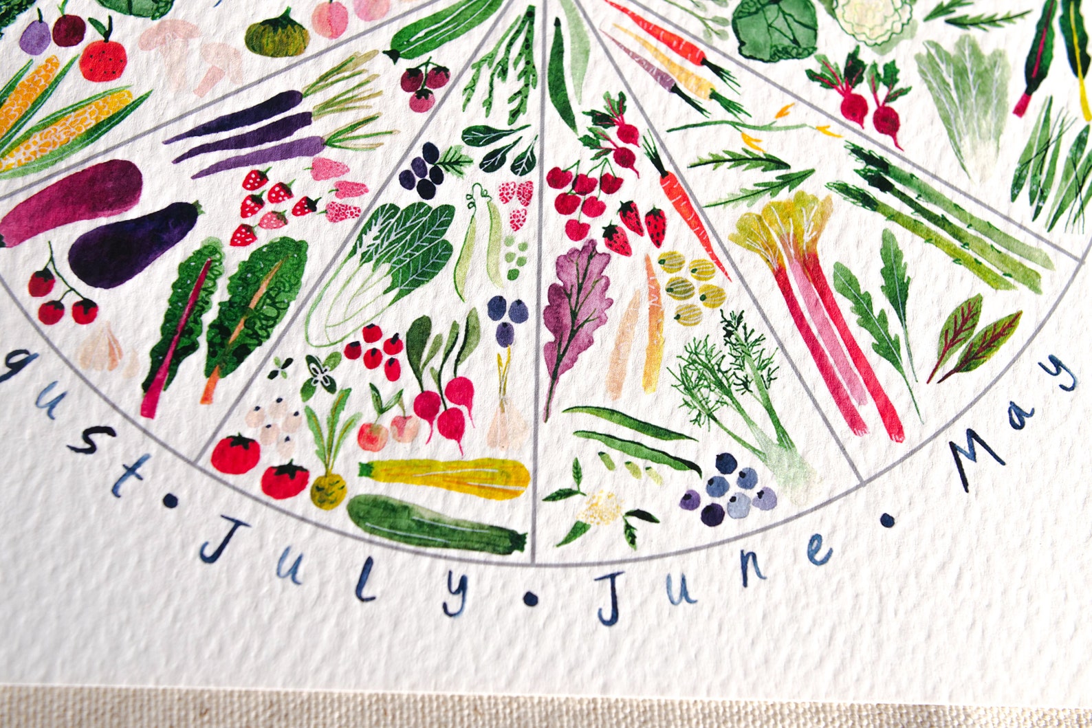 Seasonal Fruit & Vegetables Guide Illustrated Print | Etsy