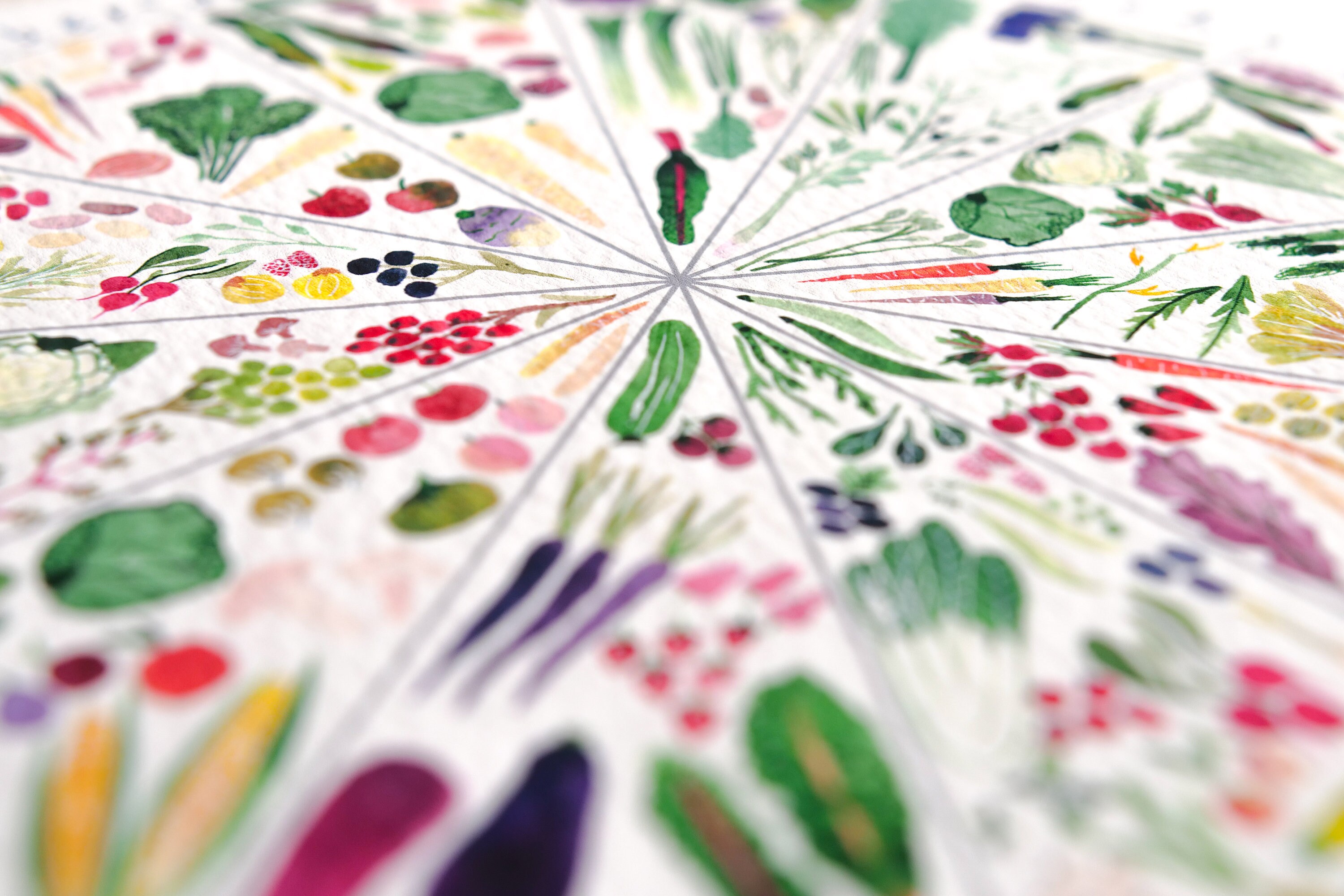 Large Seasonal Food Art Print Fruit & Veg A2/A1 | Etsy