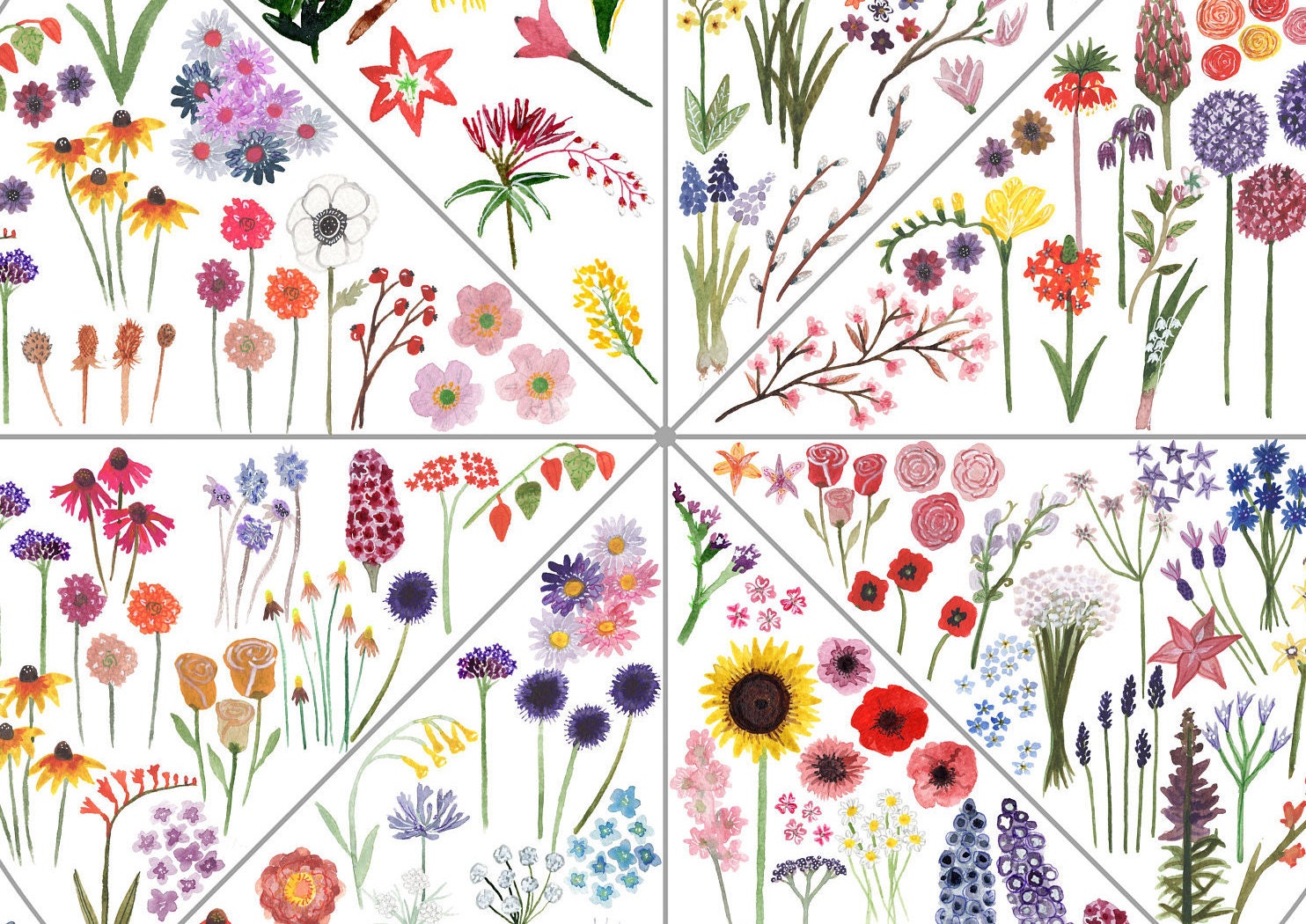 Flowers Botanical Wall Art Seasonal Guide to Wildflowers | Etsy