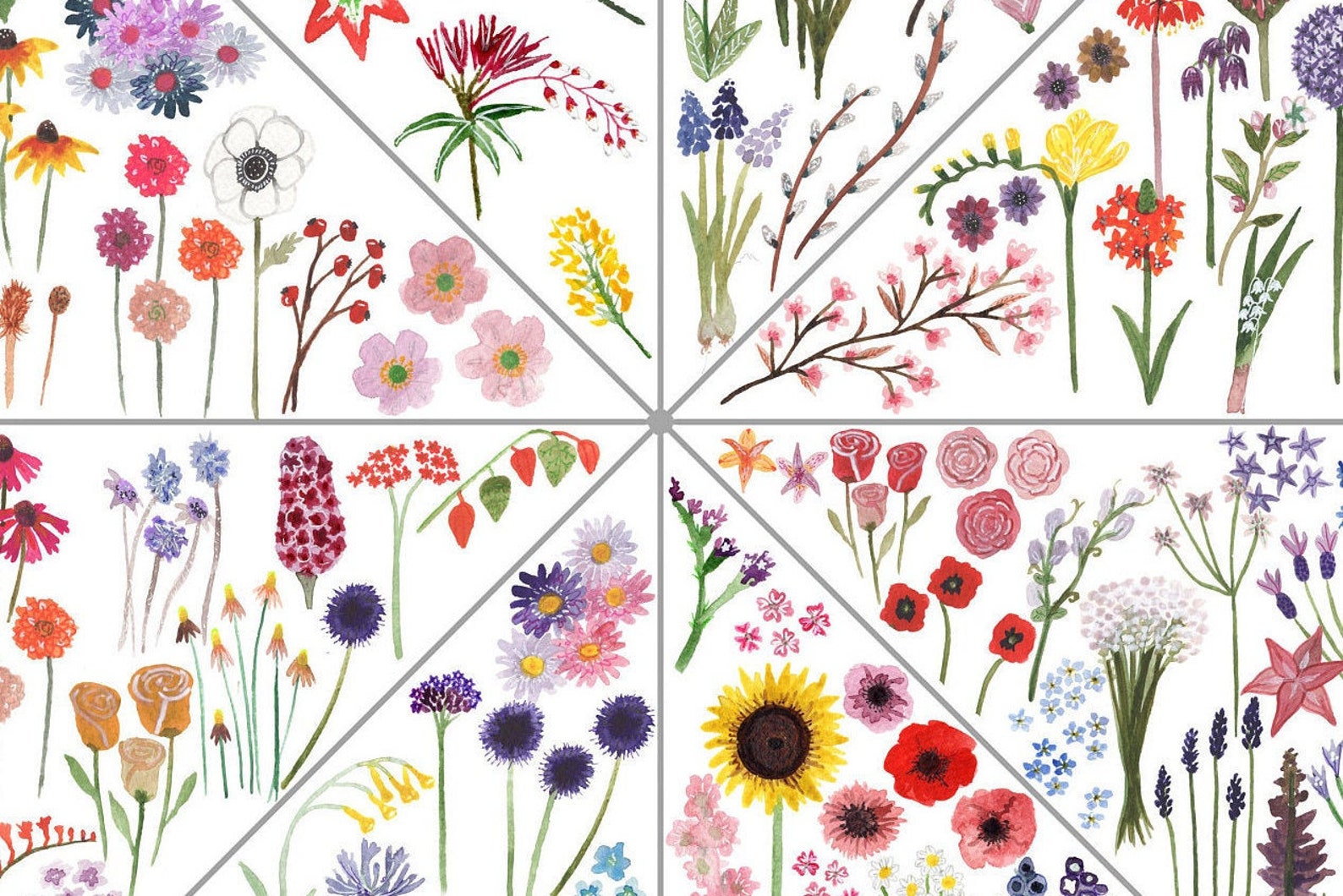Large Seasonal Flowers Illustrated Guide - Botanical & Floral - Etsy