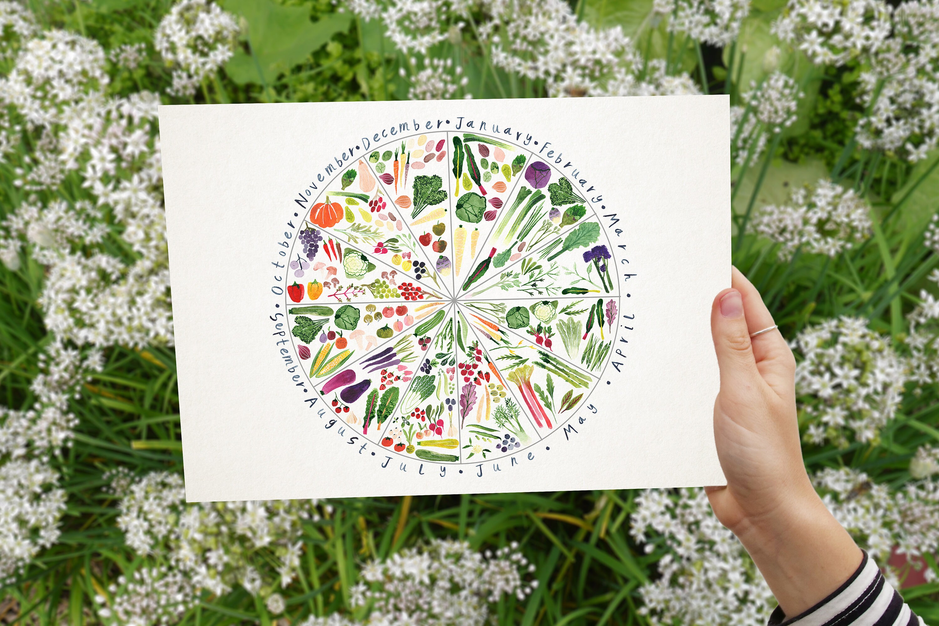 Large Seasonal Food Art Print Fruit & Veg A2/A1 | Etsy