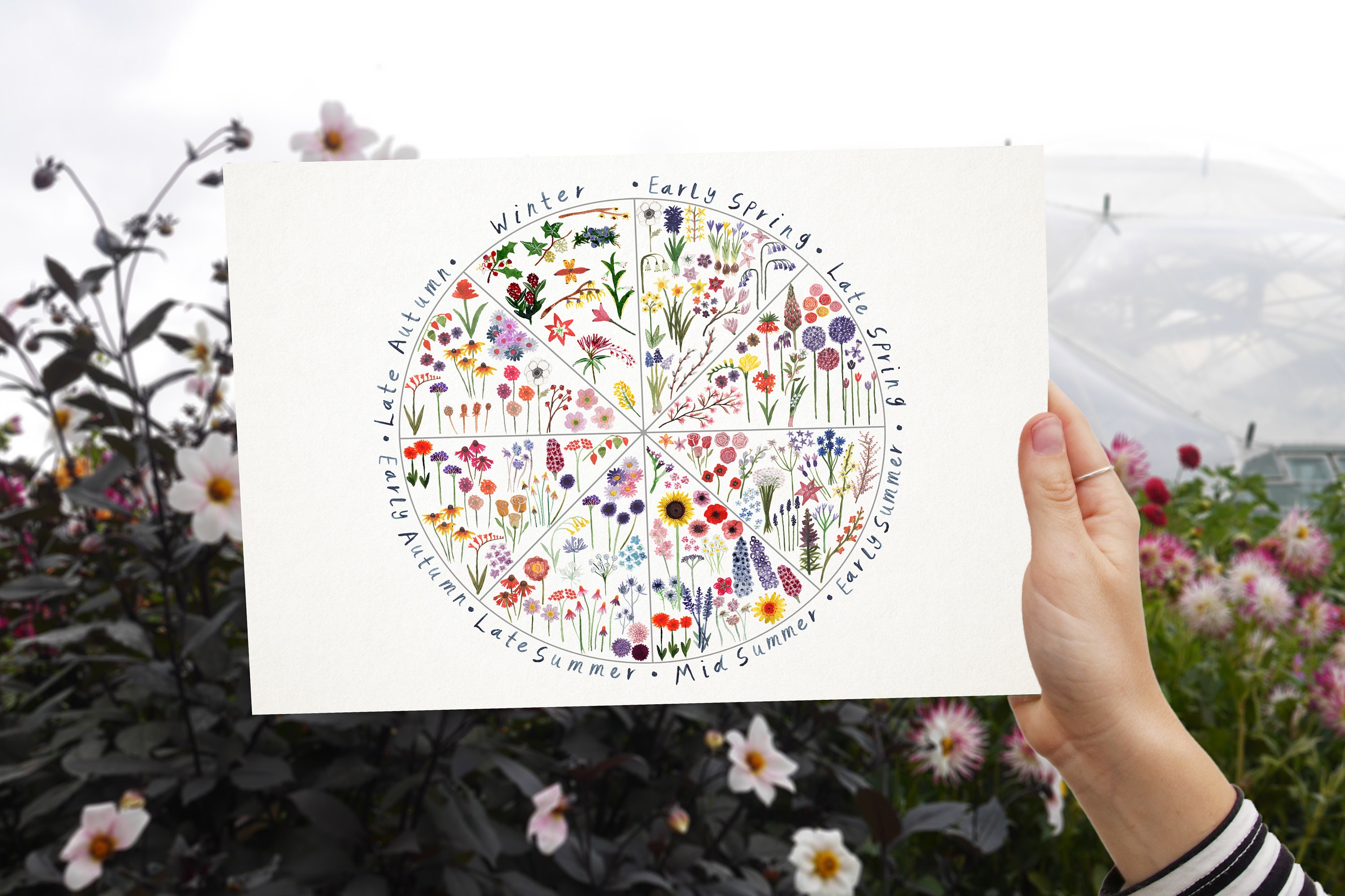 Large Seasonal Flowers Illustrated Guide Botanical & Floral | Etsy