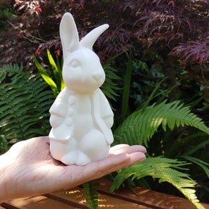 Paint Your Own Ceramic Peter Rabbit & Friend Kit, Pair of Animal Bunny ...