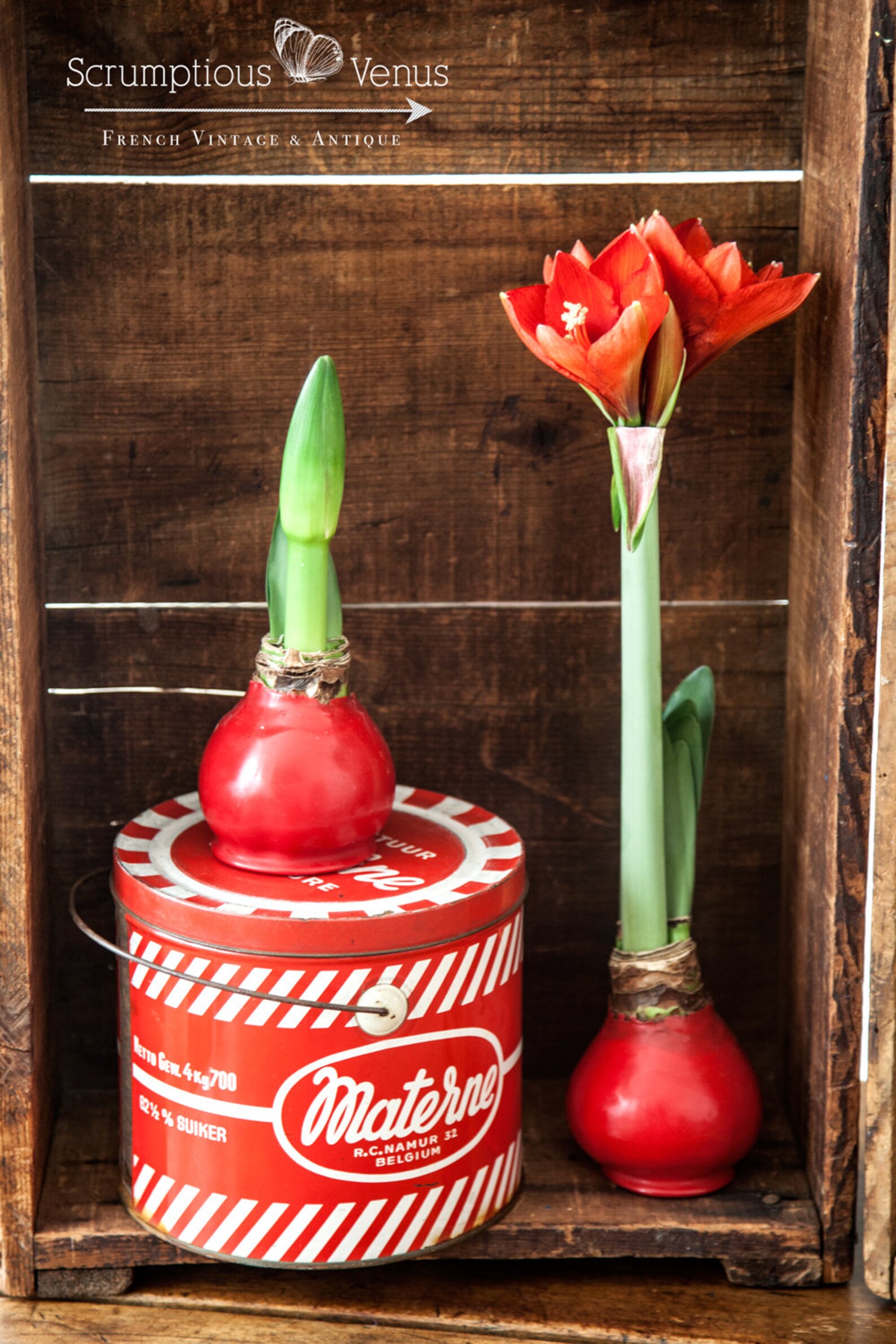 1950s Large Jam Tin - Materne - Made in Belgium - Cheerful Xmas Red ...