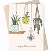 Cactus Southwest Desert Clip Art Hand Drawn Cactus and Desert Plants ...