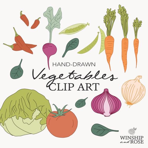 Vegetable Clip Art - Etsy