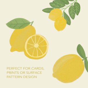Citrus Fruit Clip Art Hand Drawn Fruit Doodle Graphics 10 Citrus ...