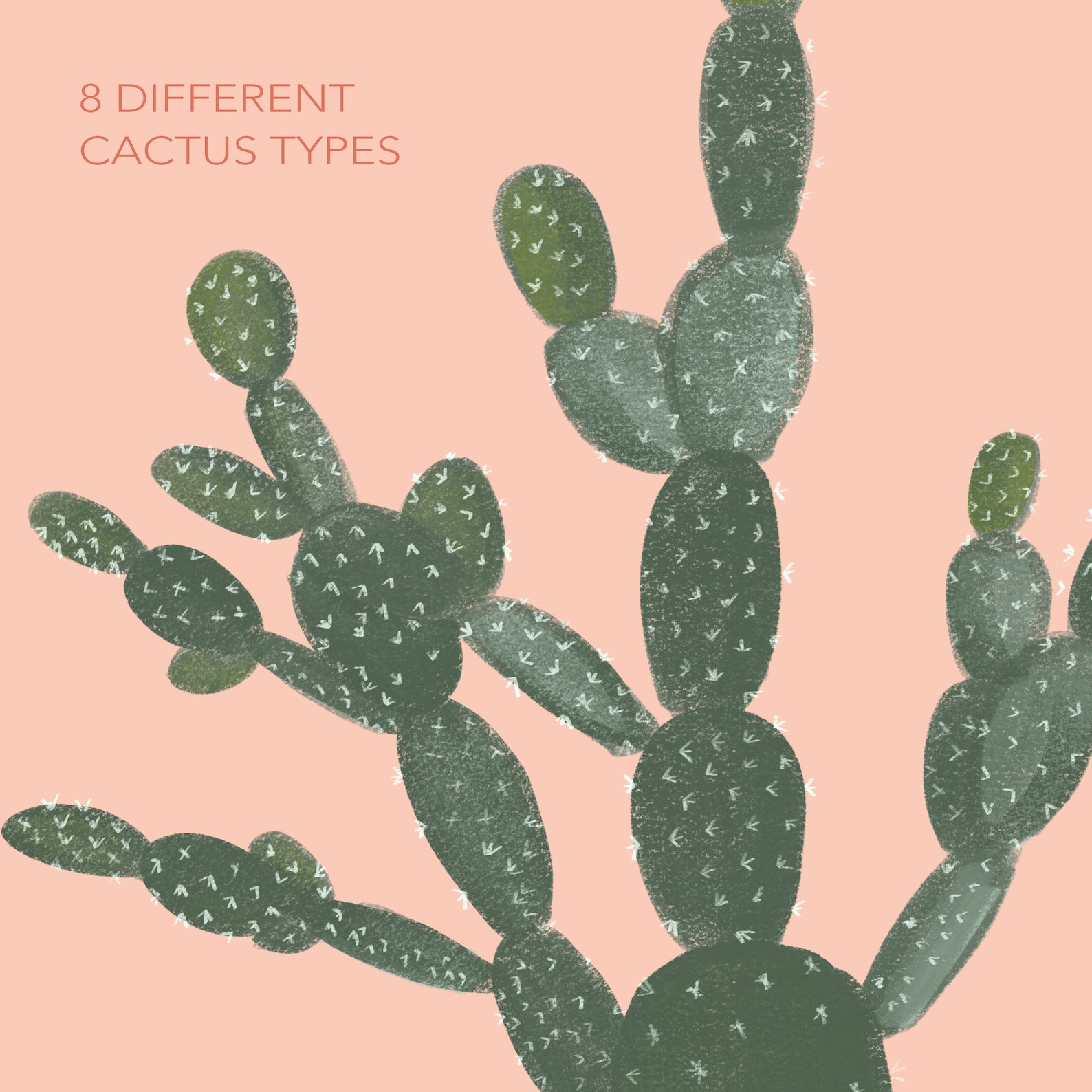 Cactus Southwest Desert Clip Art - Hand Drawn Cactus and Desert Plants ...