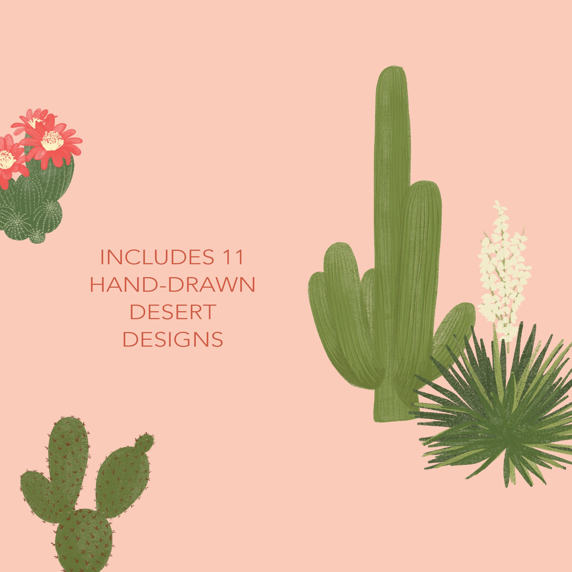 Cactus Southwest Desert Clip Art - Hand Drawn Cactus and Desert Plants ...