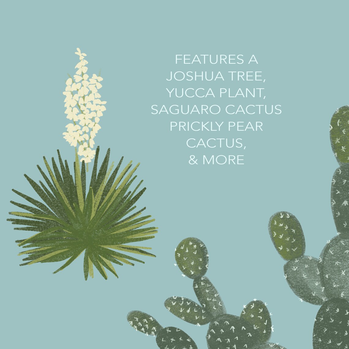 Cactus Southwest Desert Clip Art - Hand Drawn Cactus and Desert Plants ...