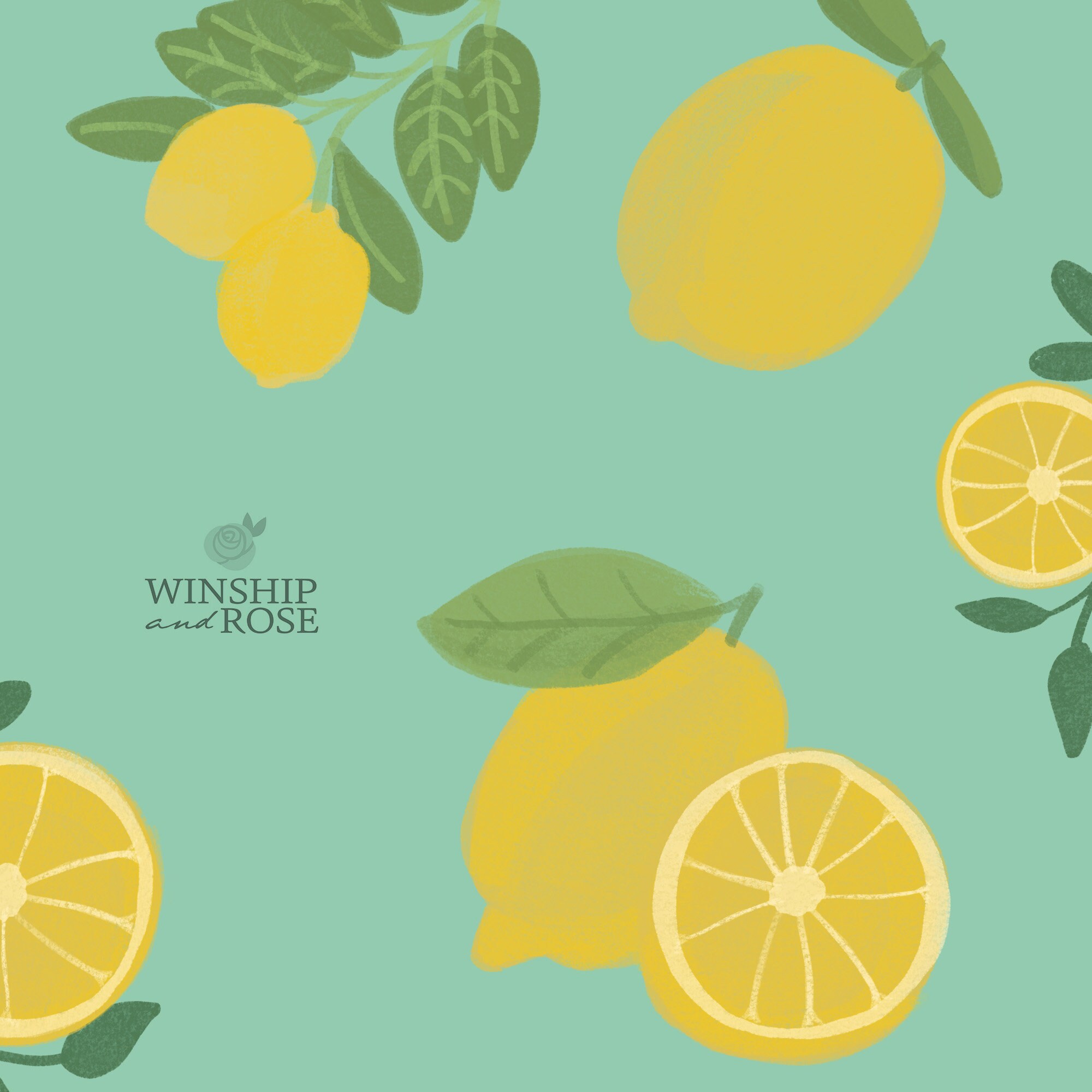 Citrus Fruit Clip Art Hand Drawn Fruit Doodle Graphics 10 Citrus ...