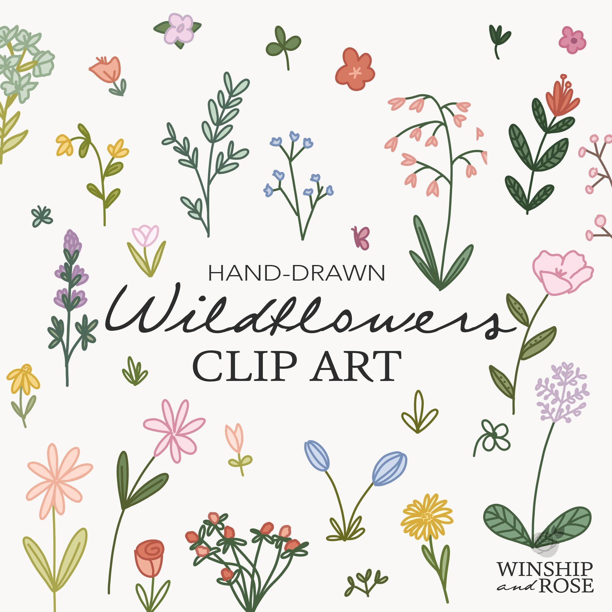Baby Wildflowers Clip Art - Hand Drawn Baby Wildflower Graphics, Spring ...