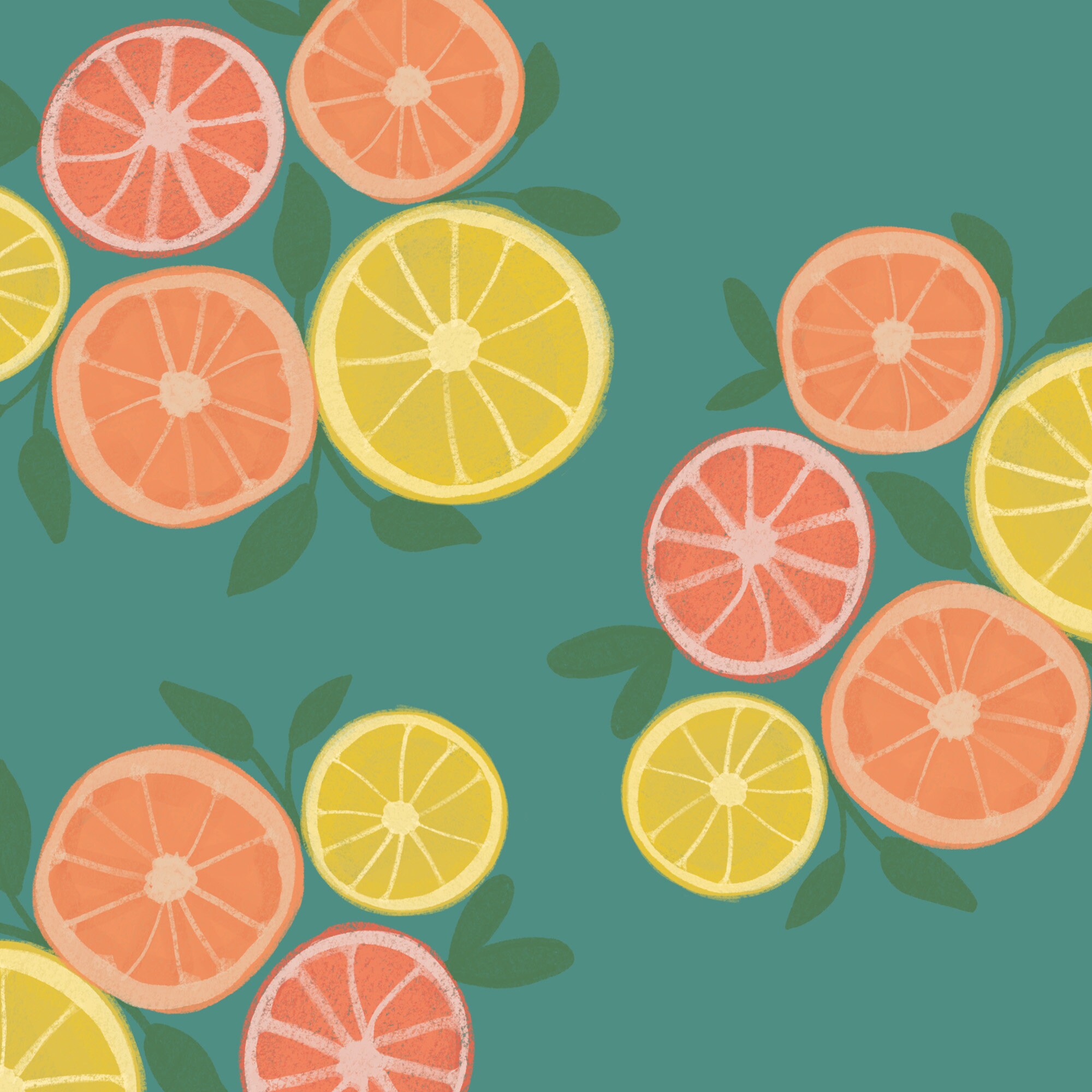 Citrus Fruit Clip Art Hand Drawn Fruit Doodle Graphics 10 Citrus ...