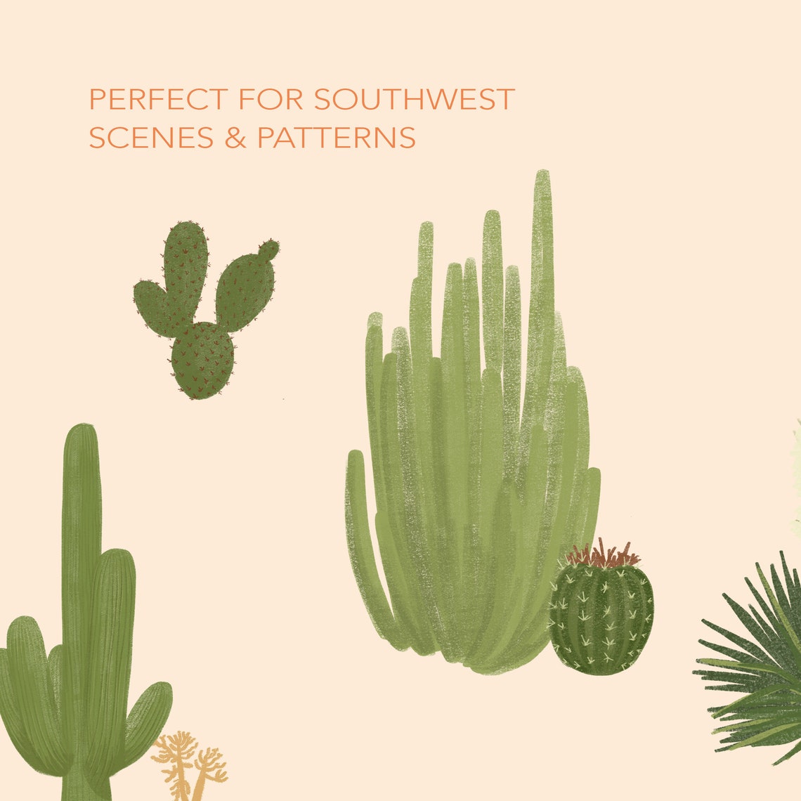 Cactus Southwest Desert Clip Art - Hand Drawn Cactus and Desert Plants ...