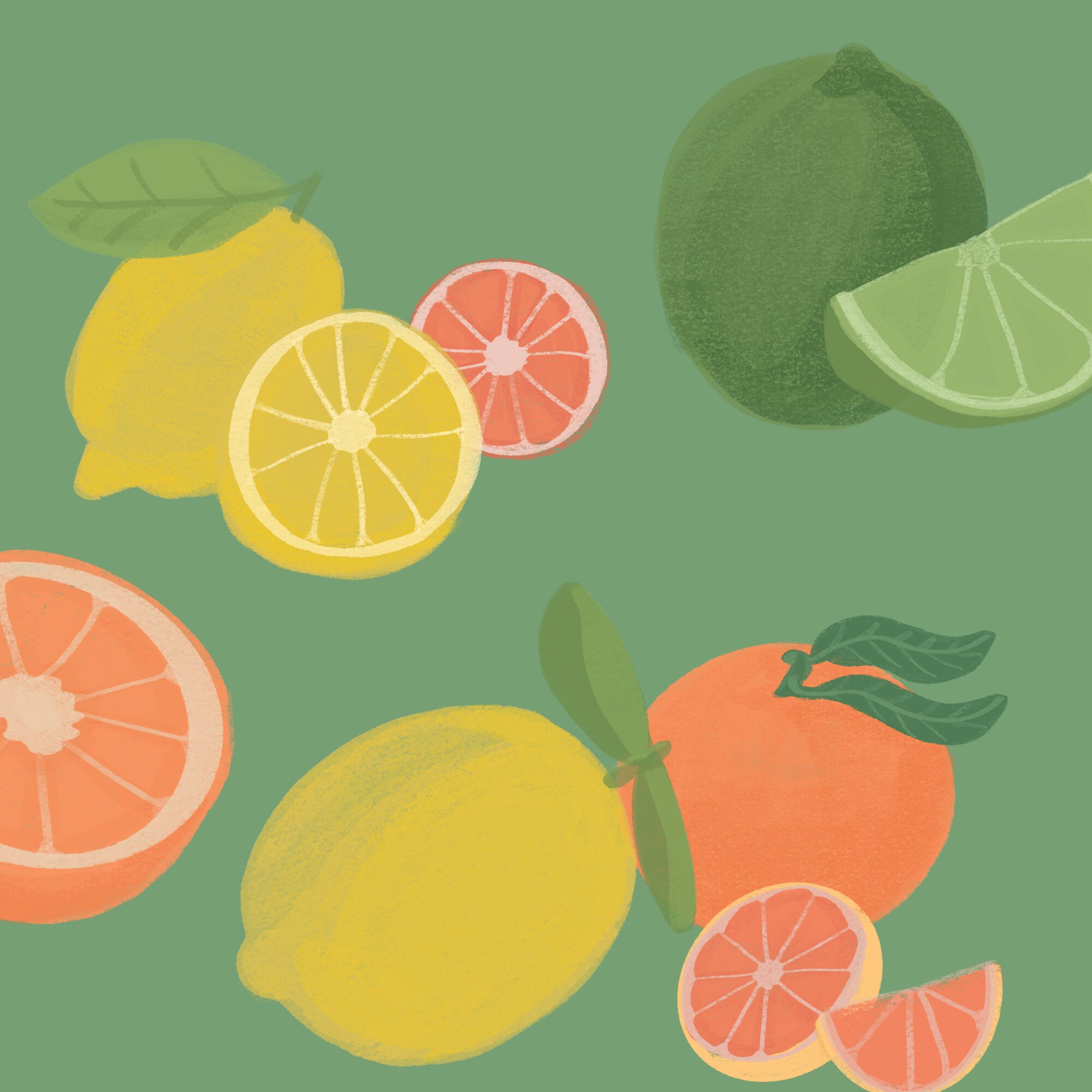 Citrus Fruit Clip Art Hand Drawn Fruit Doodle Graphics 10 Citrus ...