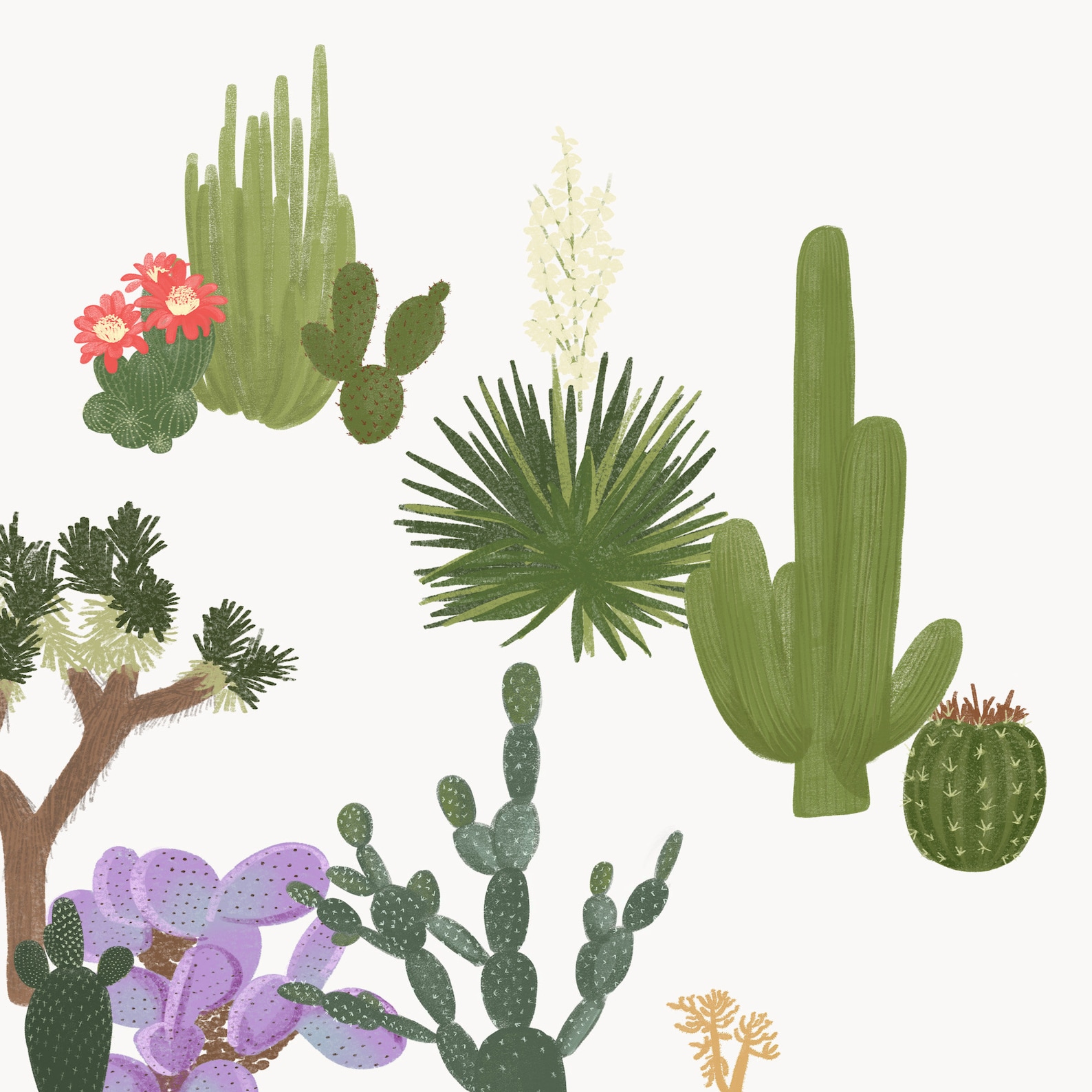 Cactus Southwest Desert Clip Art - Hand Drawn Cactus and Desert Plants ...