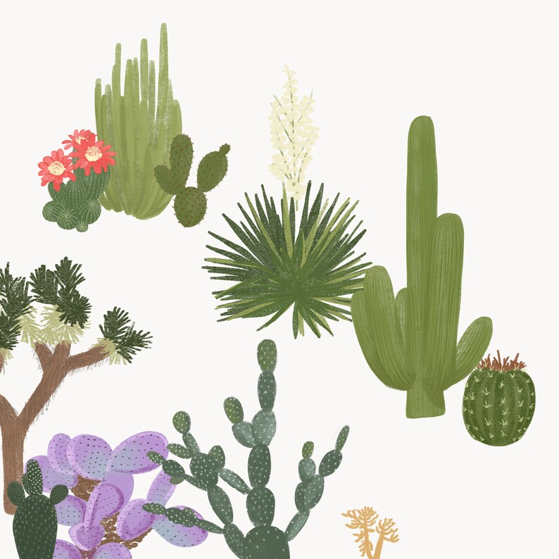 Cactus Southwest Desert Clip Art - Hand Drawn Cactus and Desert Plants ...