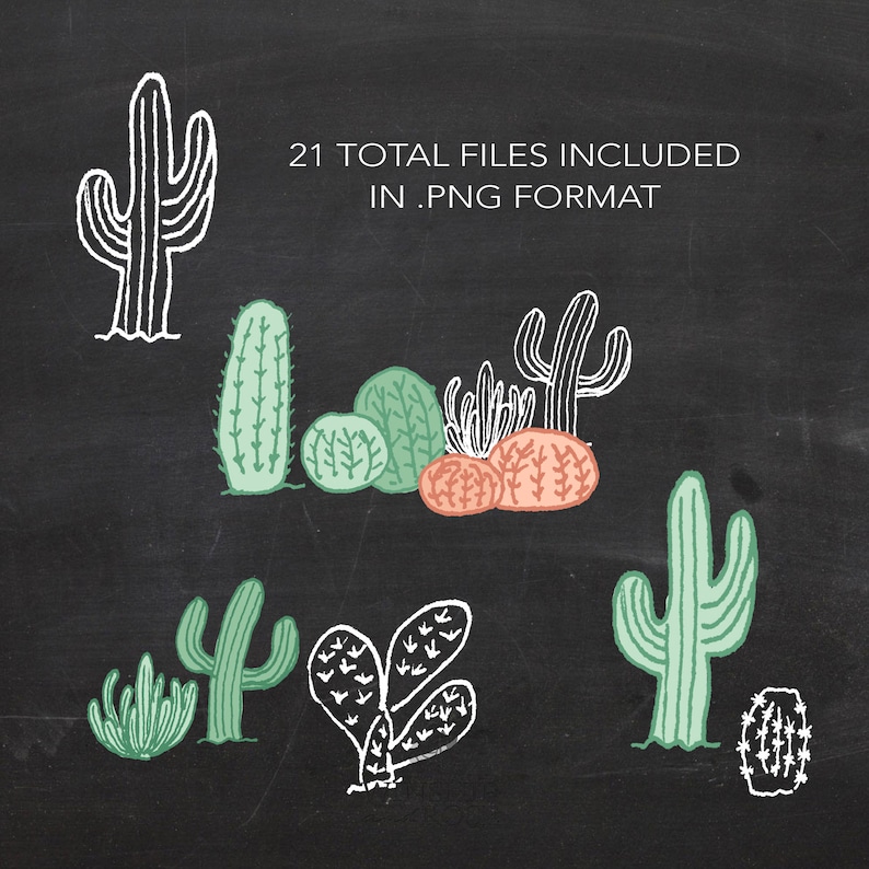 Cactus Clip Art - Hand Drawn Southwest Desert Doodle Set - Etsy