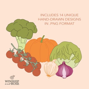 Vegetable Clip Art Set - Hand-drawn Veggies, Garden Vegetables Graphics ...