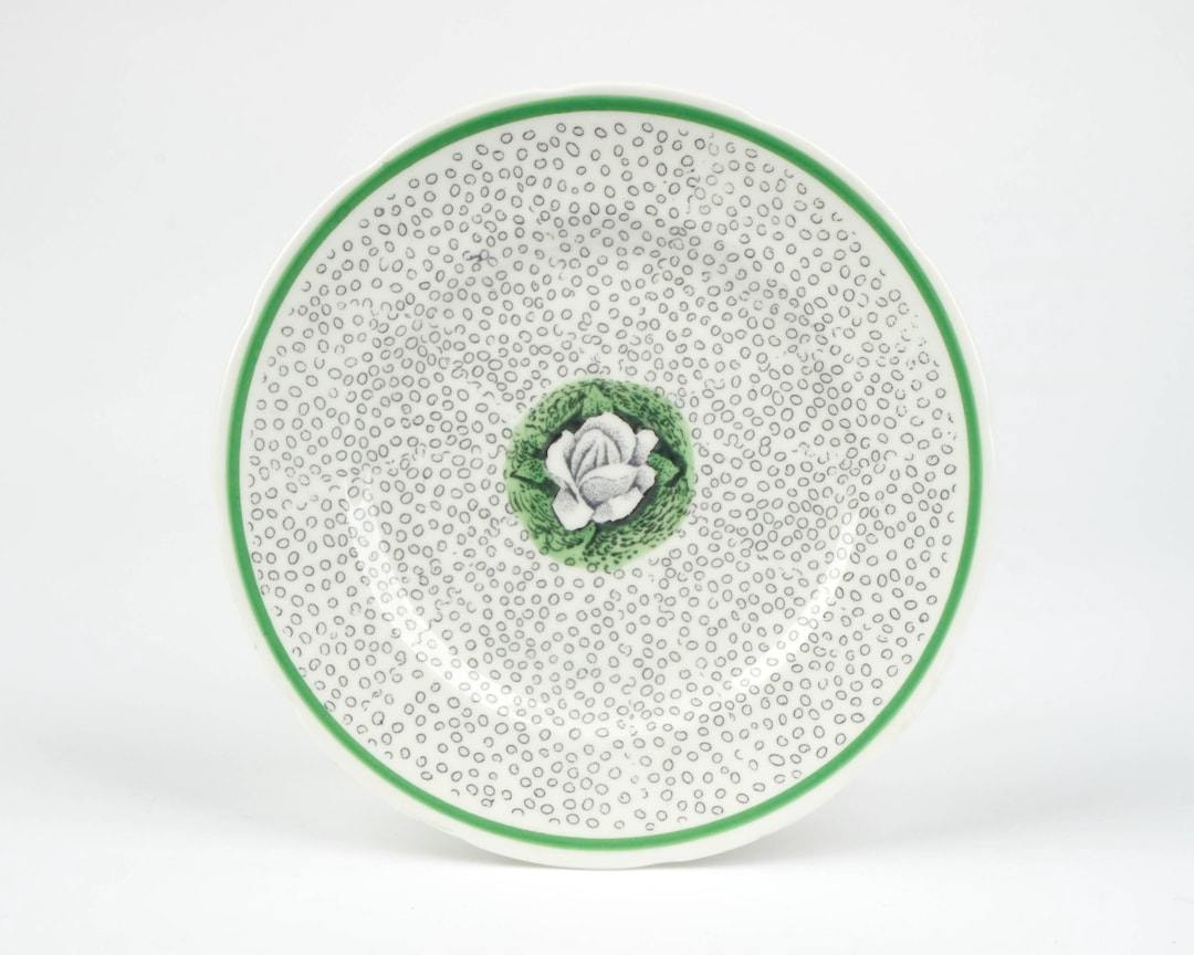 Rare Vintage 1930's Foley "white Rose" Pattern Porcelain Plate Designed ...