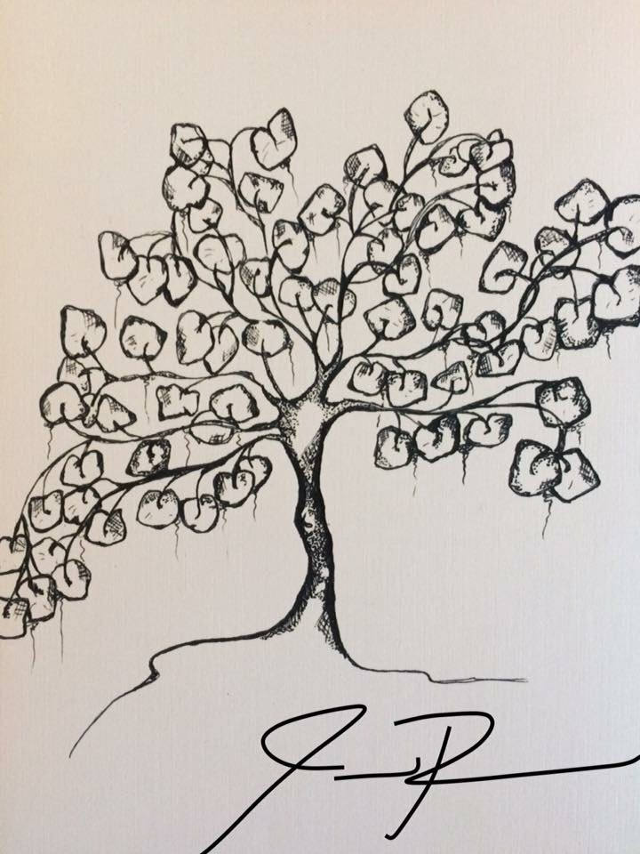 Sea Grape Tree Drawing