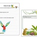 Jungle Themed Writing Prompts for Kids, Printable Sheets for Kids ...