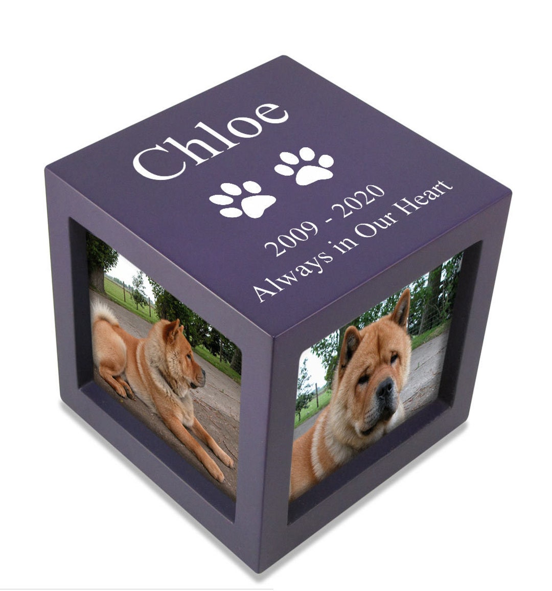 Violet Rotating Photo Cube Pet Cremation Urn - 3 Sizes Available - Etsy