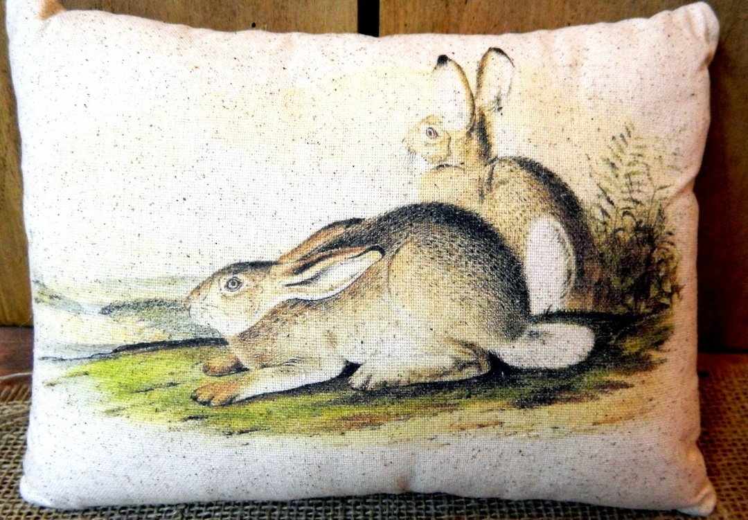 Bunny Rabbit Pillow Handmade Pillow - Rabbit Lover Gift - Rabbit Decor ...