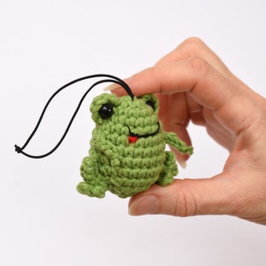 Car Rear View Mirror Tiny Frog Car Hanging Charm Rearview Car Charm ...