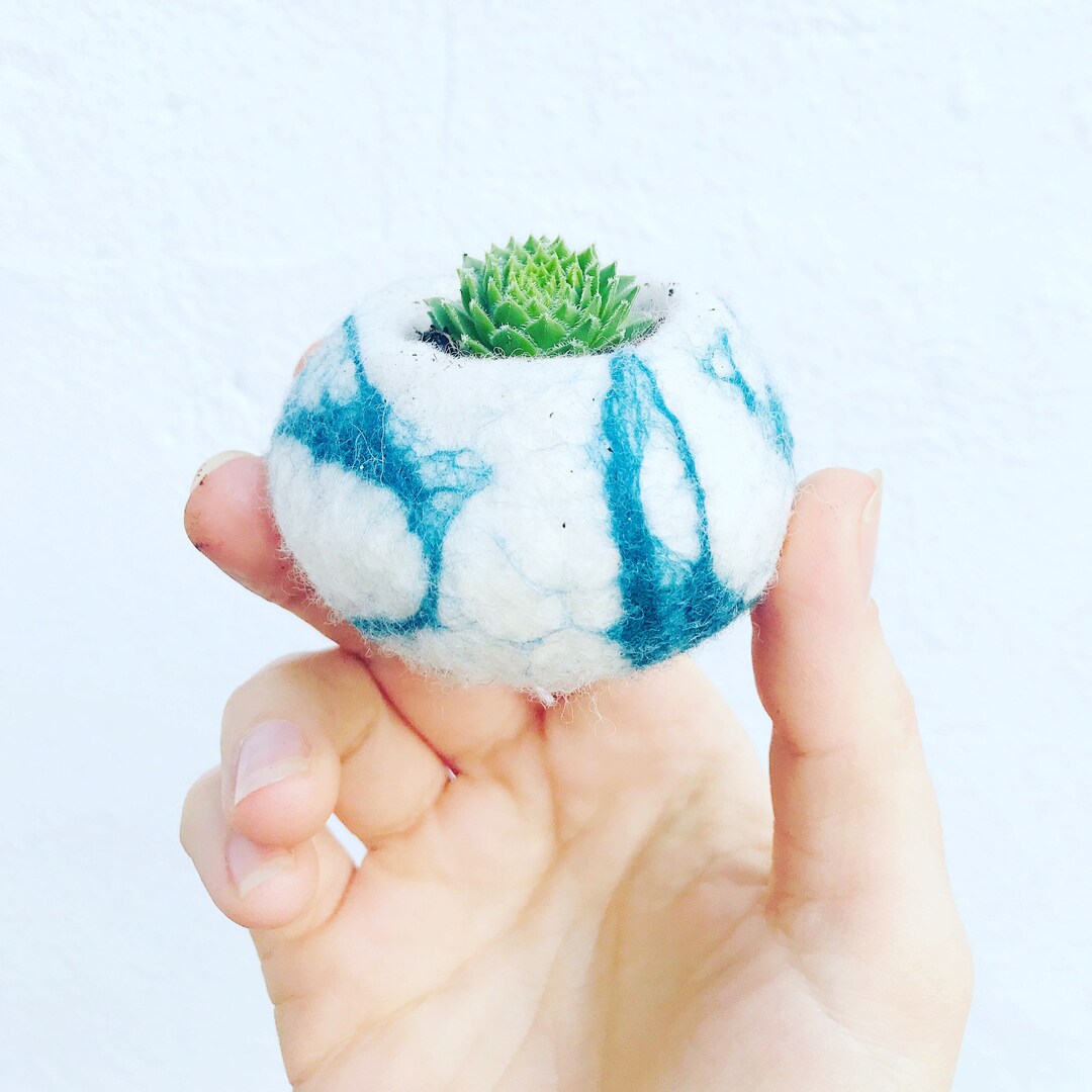 Cactus Pod, Cactus Planter, Plant Pod, Cactus Pot, Felt Pod, Plant Pot ...
