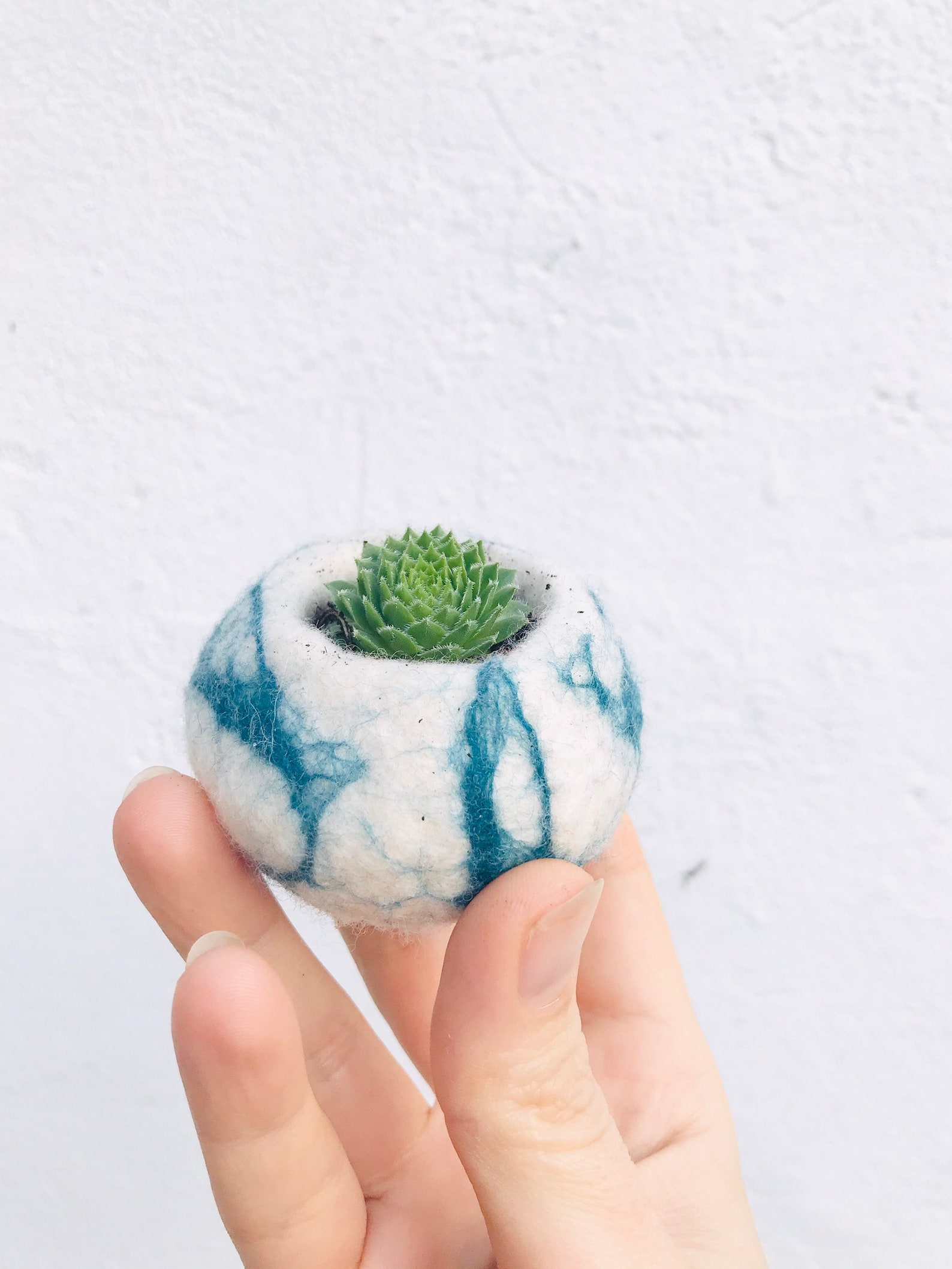 Cactus Pod, Cactus Planter, Plant Pod, Cactus Pot, Felt Pod, Plant Pot ...